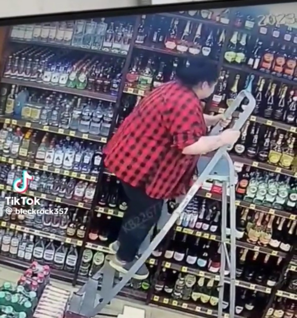 This Is Cleary The Wrong Way To Use A Ladder - Hillbilly Live!