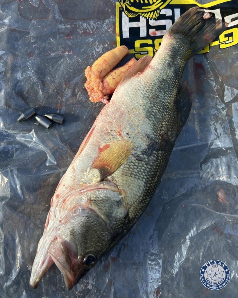 STUPID HILLBILLY NEWS: A Man Was Charged With A Felony For Stuffing ...